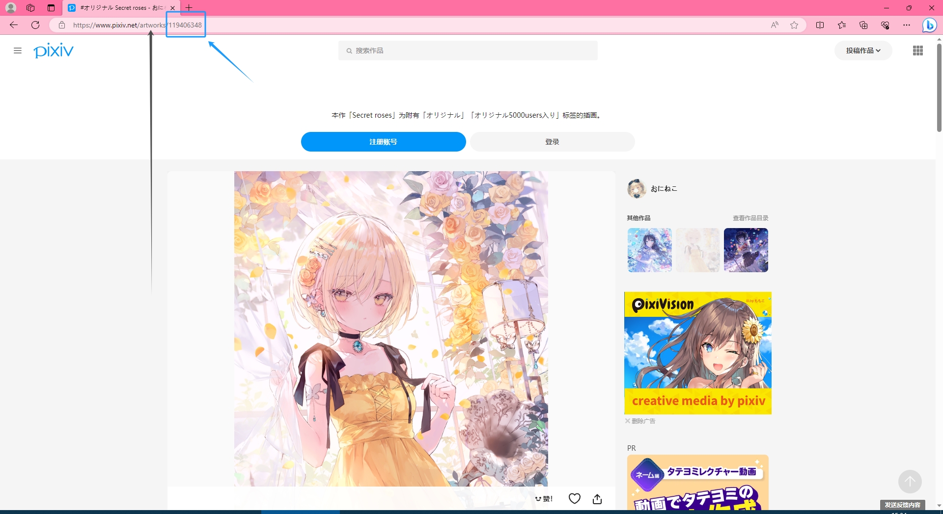 [P站]pixiv怎么搜索id，原来方法如此简单 | BoBoPic