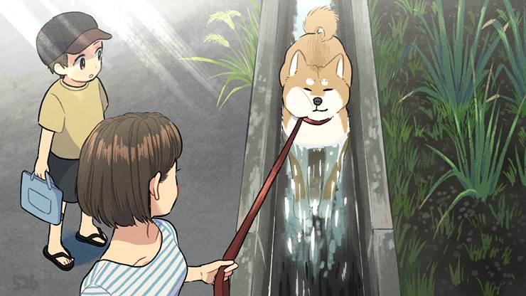 冰凉|插画师526的狗插画图片 | BoBoPic