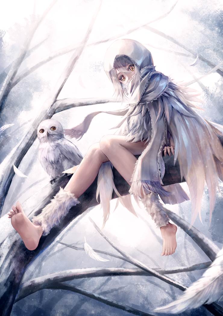 O8O|插画师STARRY_L的冬天景色插画图片 | BoBoPic