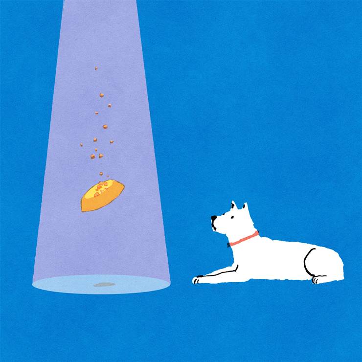 呼哇|插画师饭田研人的插画插画图片 | BoBoPic