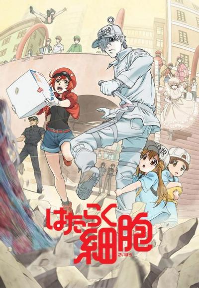 《工作细胞》P站高清同人图片，不错的科普番 | BoBoPic