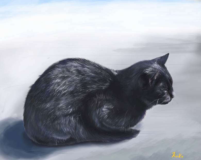 黒猫|ライオン7号的黑猫动物插画图片 | BoBoPic