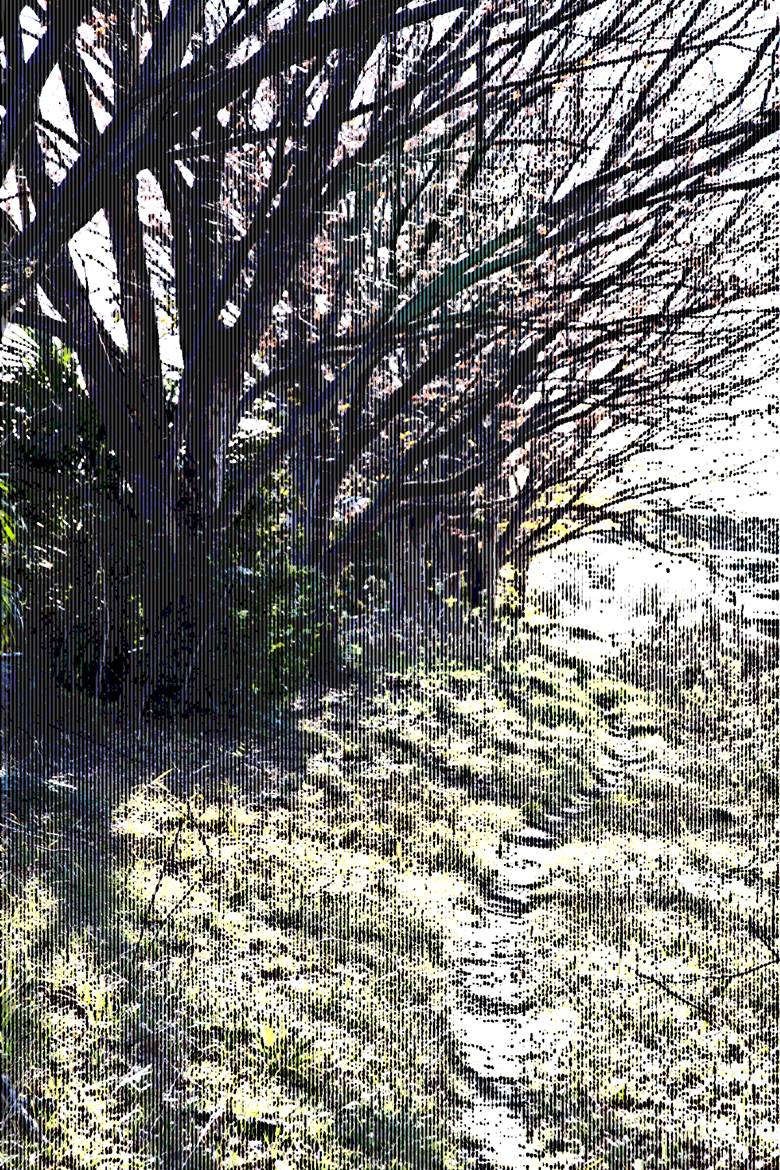 冬の日4|とおます的冬天风景插画图片 | BoBoPic