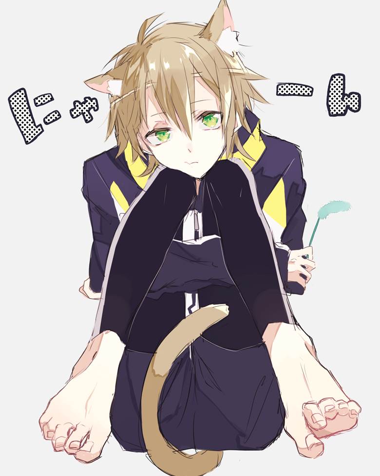 かずにゃん|86＋的A3!满开剧团插画图片 | BoBoPic