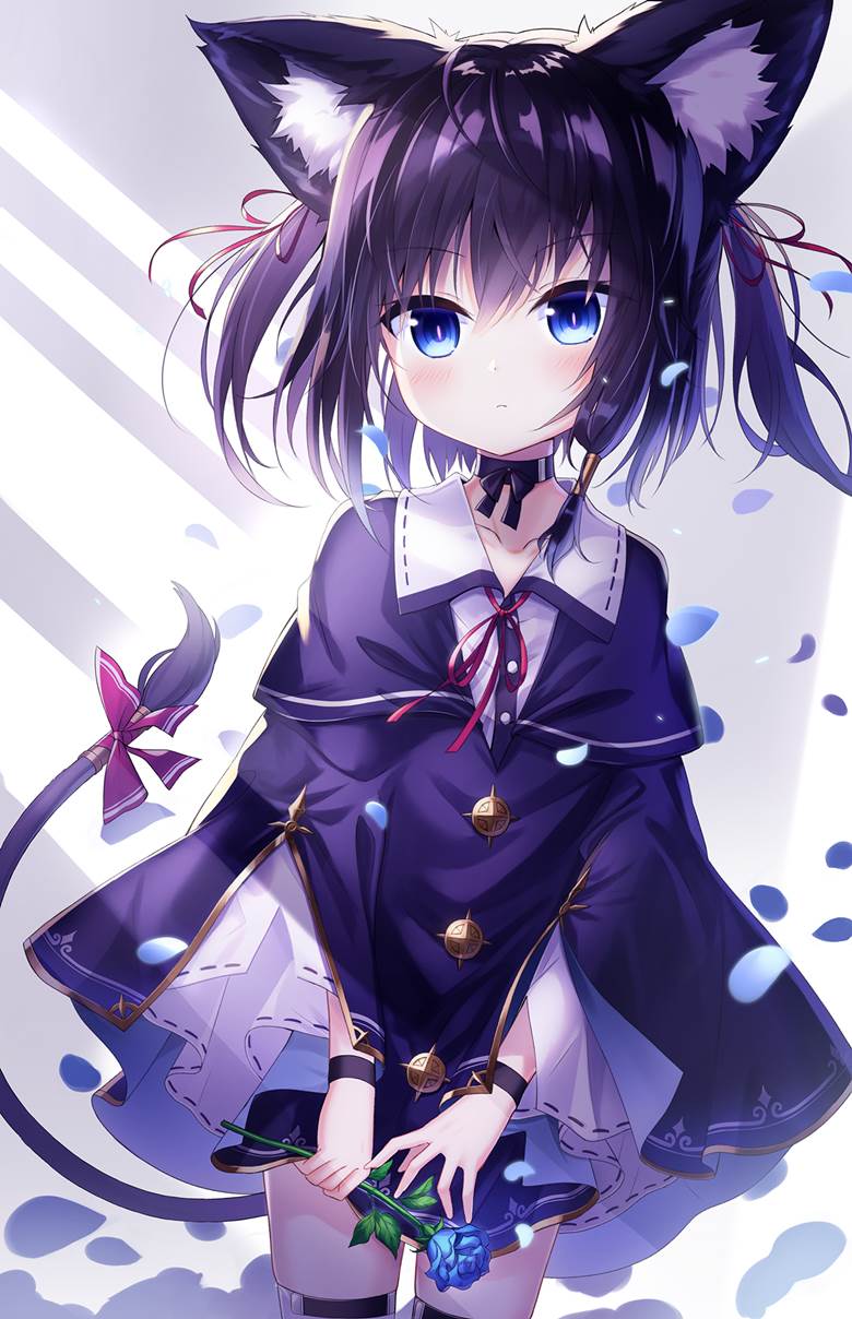 cat ears,blue rose,cloak,tail with ribbon,原创1000users加入书籤, - かくさとう ...