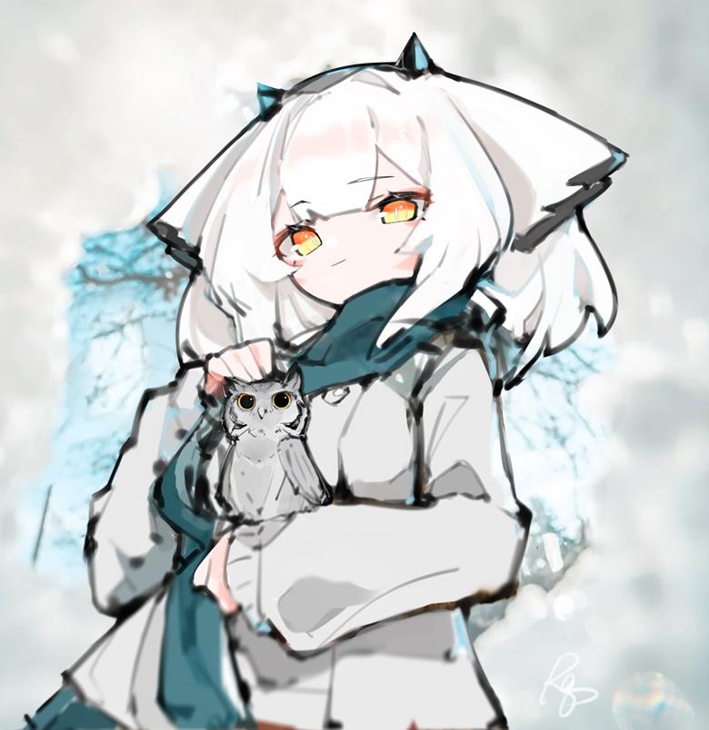 无题|error1980的白面鸮插画图片 | BoBoPic