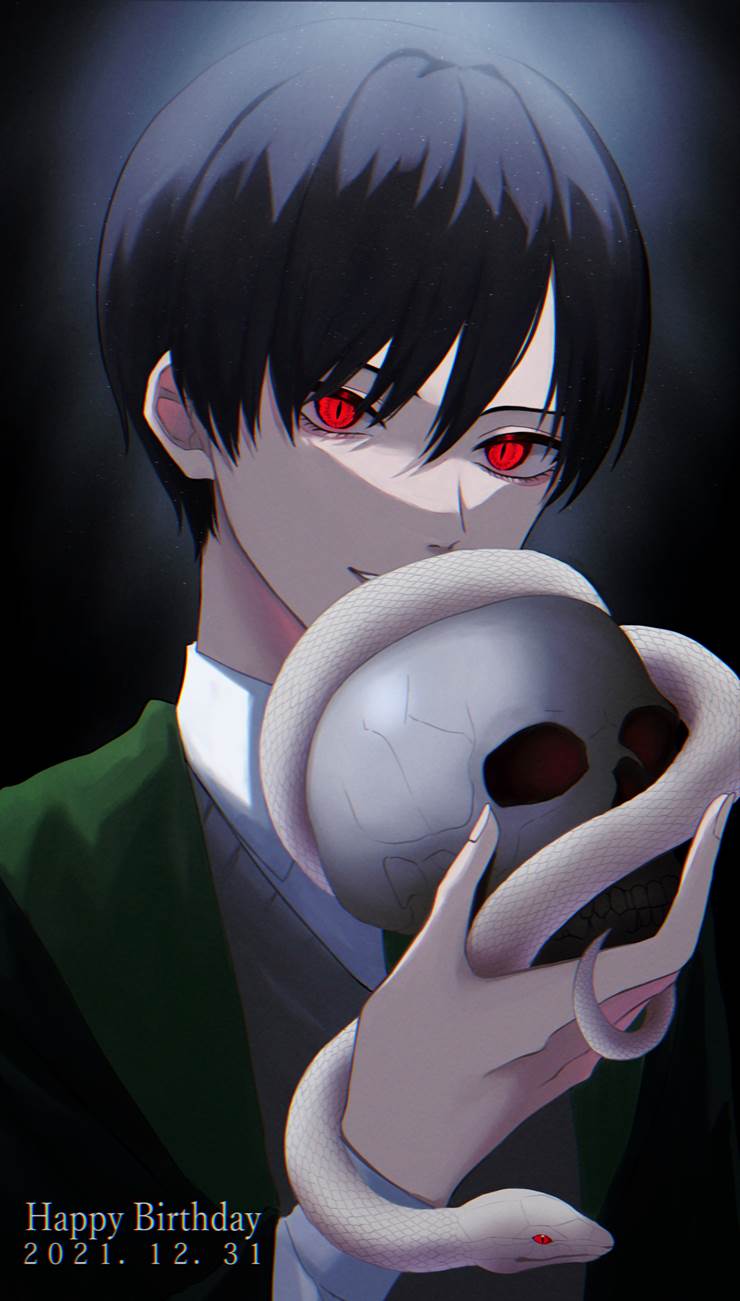 Hp 总结2|插画师犬居ロウ的汤姆·里德尔插画图片 | BoBoPic